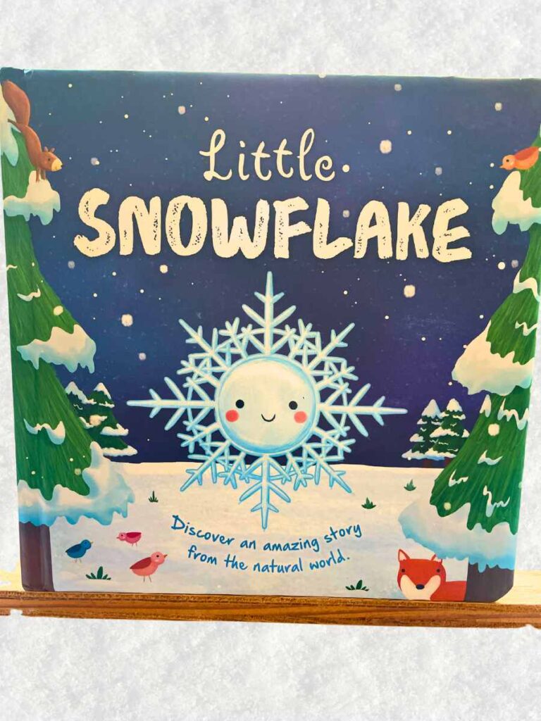The Best (And Coziest) Books About Snow for Preschoolers - Gratefully ...
