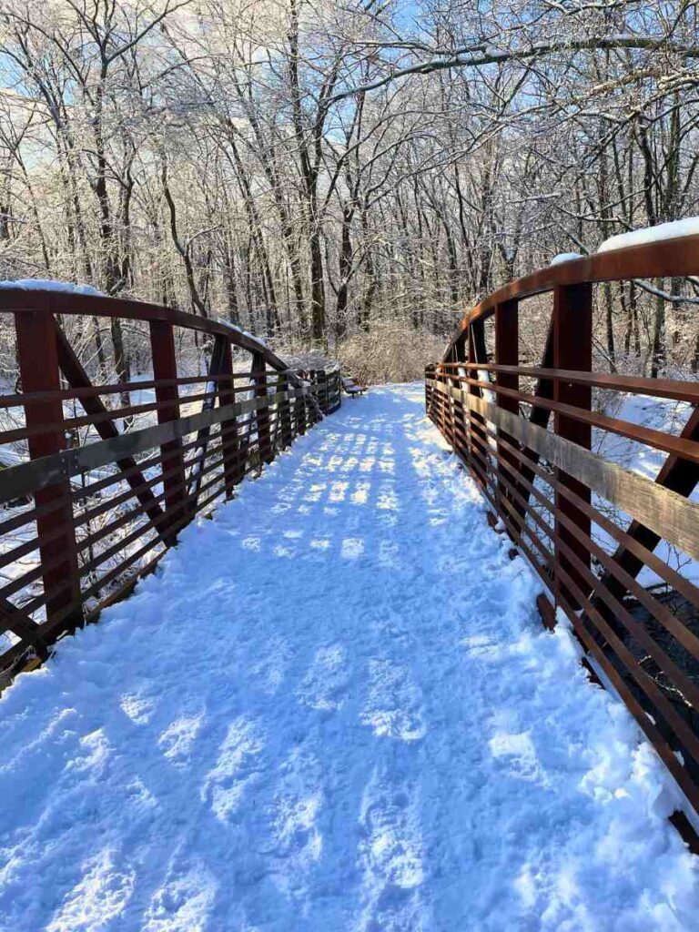 "No Bad Weather:" Simple Outdoor Activities for Preschoolers in Winter ...