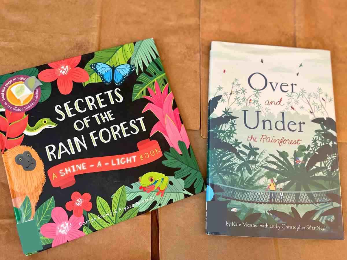Rainforest Preschool Books - Gratefully Grounded