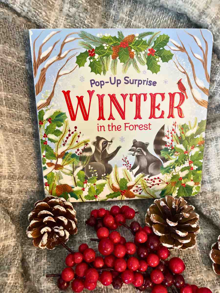 Winter in the Woods Discovery Box (Preschool Theme) - Gratefully Grounded