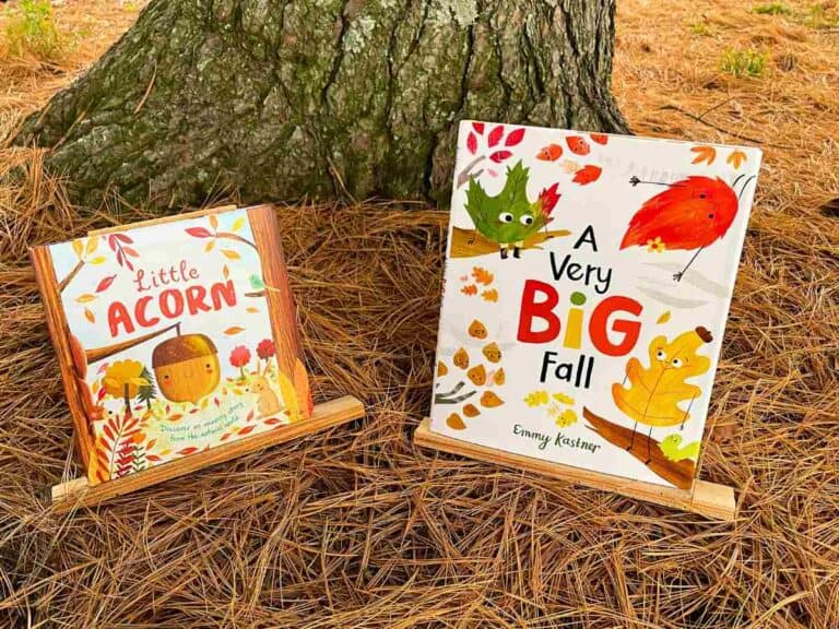 Forest In the Fall Preschool Unit - Gratefully Grounded