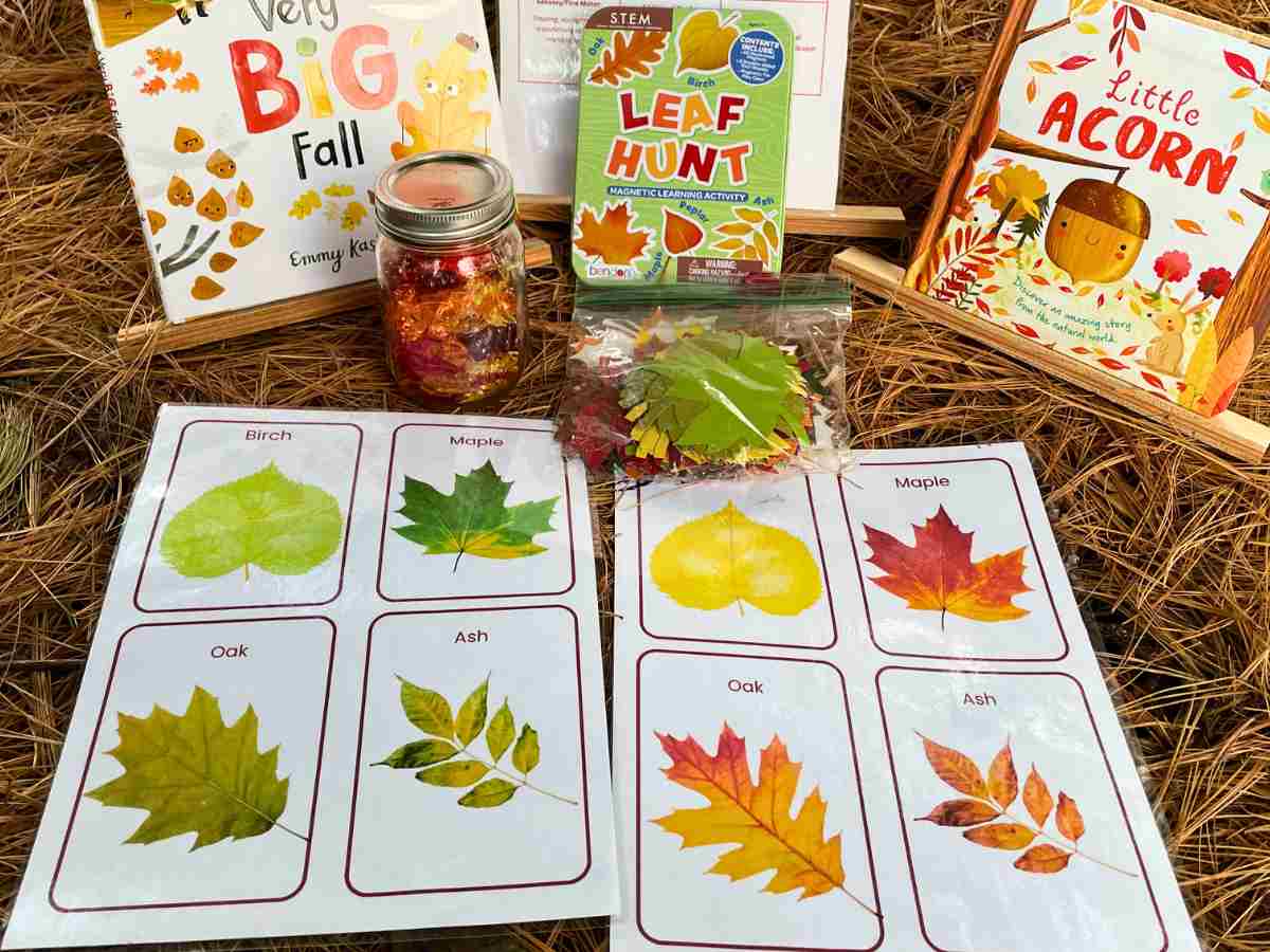 Forest In the Fall Preschool Unit - Gratefully Grounded